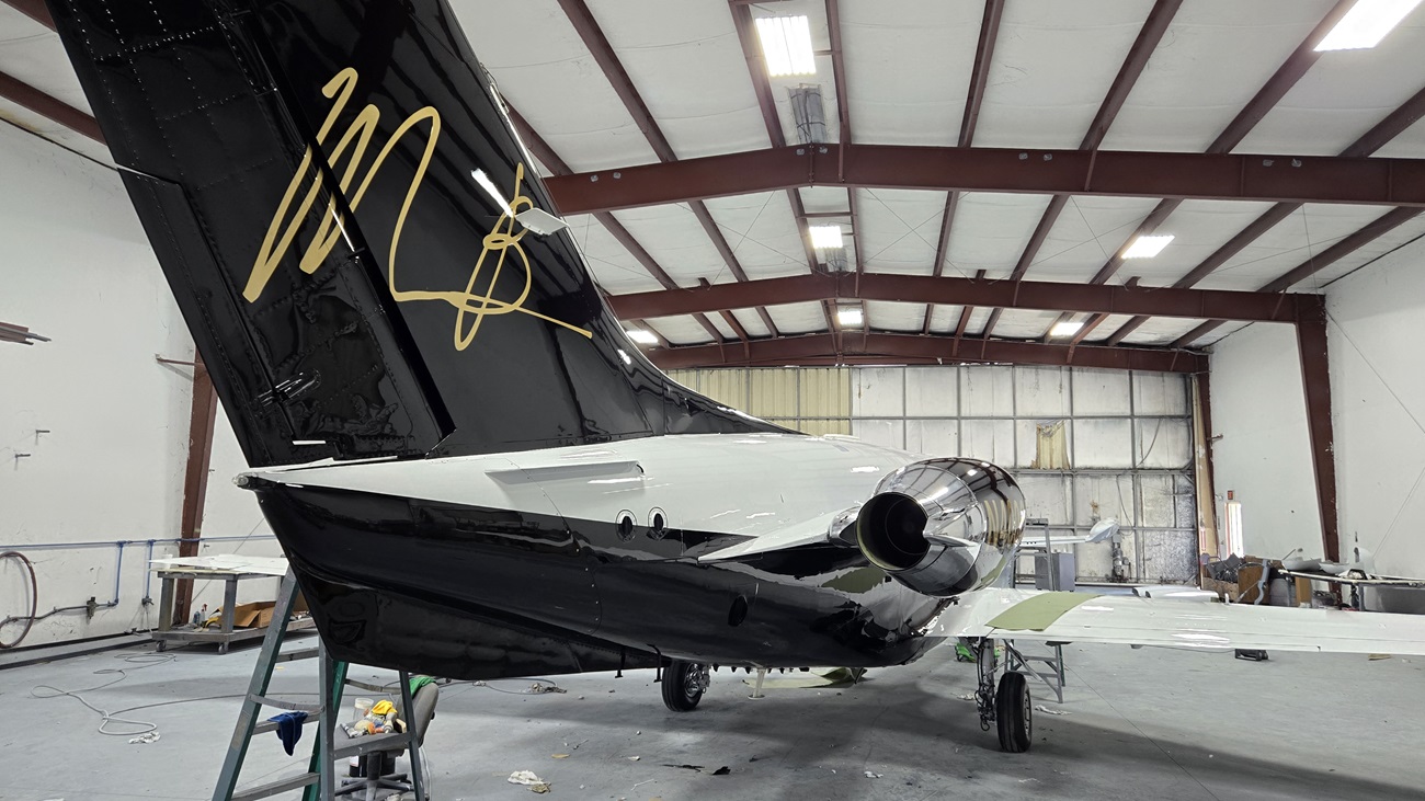 Jorge Cappel Aviation Expert
